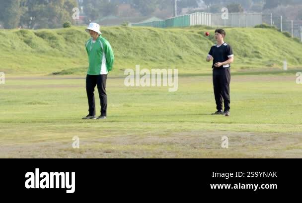 Cricket umpire and stumps Stock Videos & Footage - HD and 4K Video ...