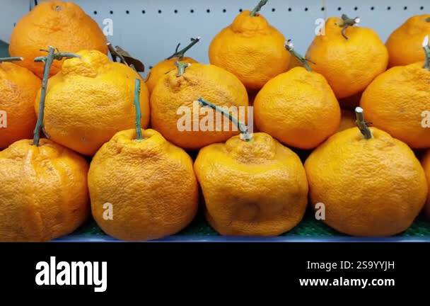 A collection of citrus fruits with rough skin and green stems still ...