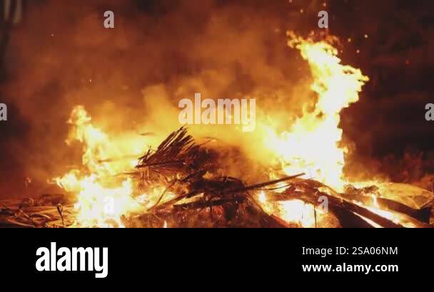 Slow motion footage of palm leaves burning in a vibrant fire at night ...