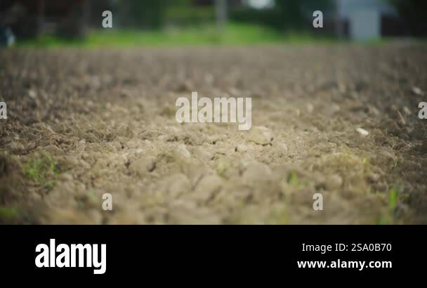 A dry, cracked field of soil suffering from a severe drought ...