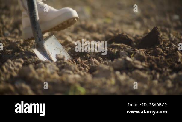A close-up view of a shovel digging into hard soil, illustrating the ...