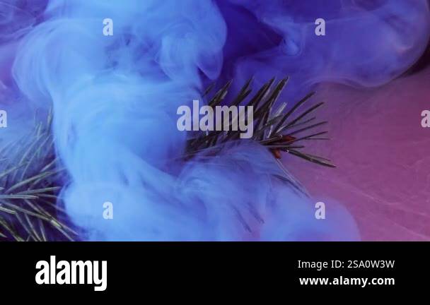 Fir branch haze. Smoke cloud. Green tree plant in pink blue color ink ...