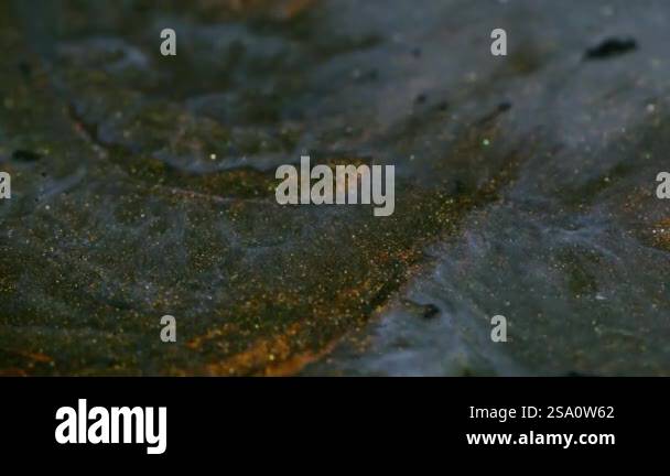 Sparkling lava. Diffusion paint. Shiny opaque mass with metallic ...