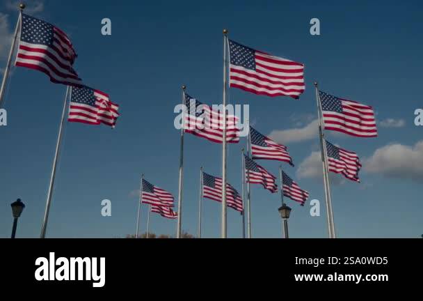 A magnificent and stunning array of American flags is waving proudly ...