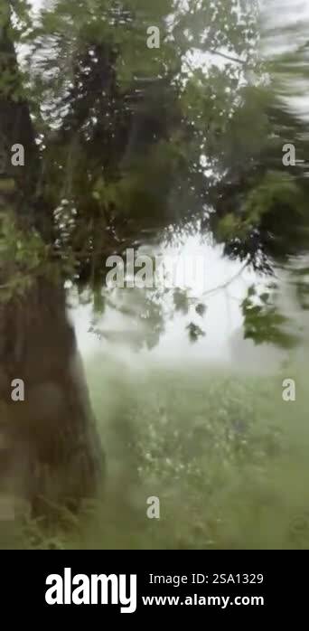 Soft Drizzle on the Road rain outside window. High quality 4k footage ...