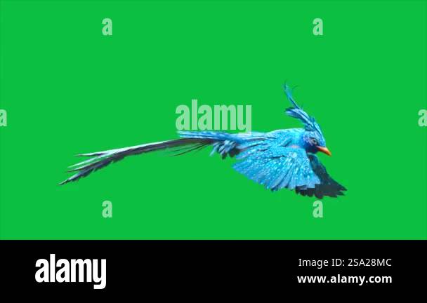 4K Green Screen Blue Bird Fly Loop 3D Animations Animals Rendering CGI ...