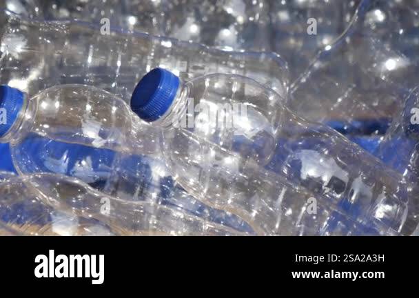 Individuals gather and sort plastic water bottles for an environmental ...