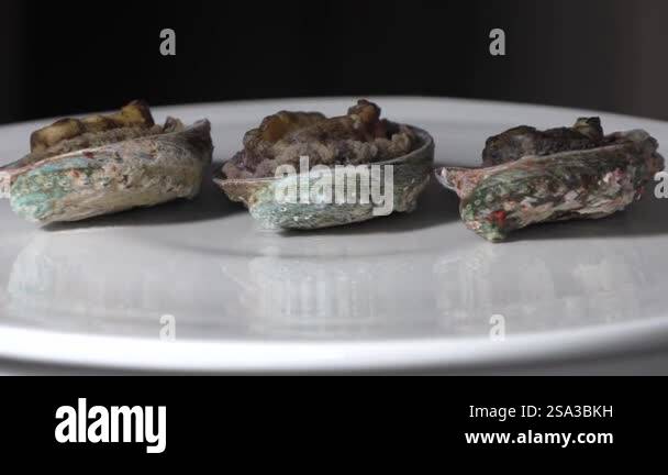 Abalone of the plate Stock Videos & Footage - HD and 4K Video Clips - Alamy