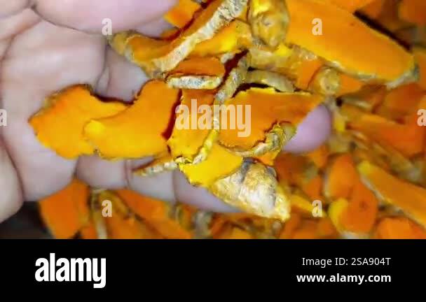 The drying of turmeric spices in the village Stock Video Footage - Alamy