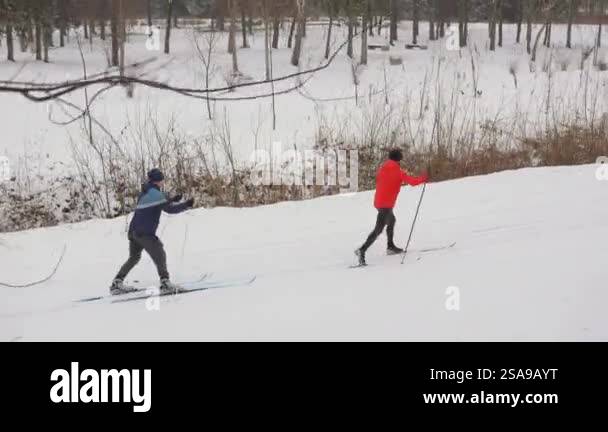 Two skiers navigate a snowy path in a serene park, surrounded by tall ...