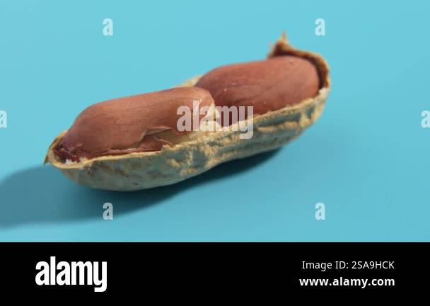 Peanut shells rotate on a blue background. The shell is split in half ...