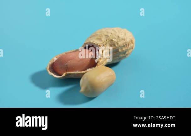 Peanuts rotate on a blue background. The peanut is partially open. The ...