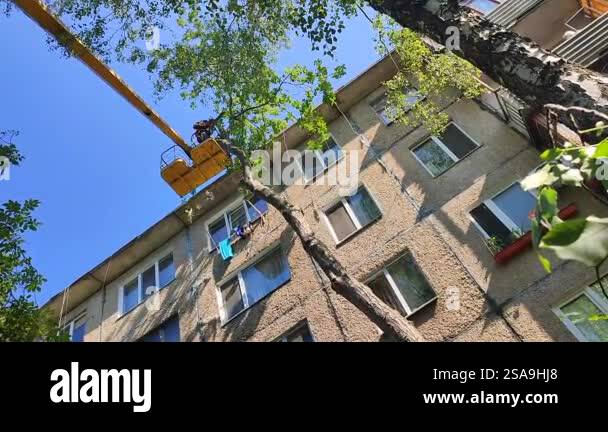 Bila Tserkva, Ukraine, August 25, 2024:-Tree pruning. Municipal workers ...