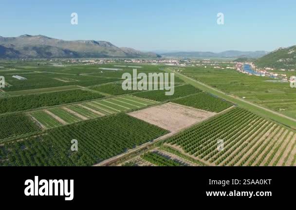 Aerial View of Fertile Fields and Agricultural Landscapes of the ...