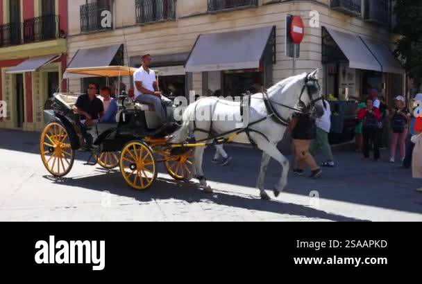 Seville, Spain - September 8, 2024: Horse-drawn carriage ride through a ...