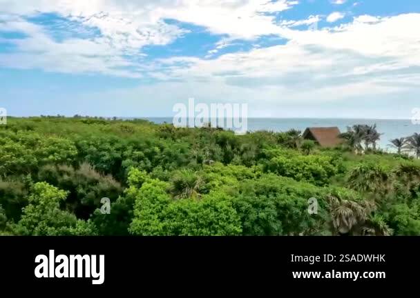 National park of Tulum panorama view to jungle beach sea coast and blue ...