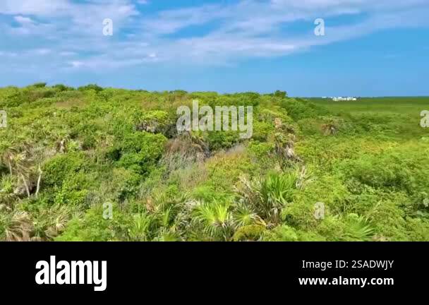 National park of Tulum panorama view to the tropical jungle nature and ...
