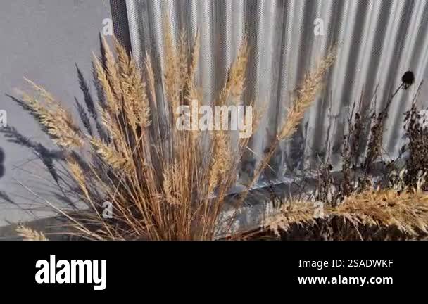 building is lined with square panels. metal sheet wall cladding with ...