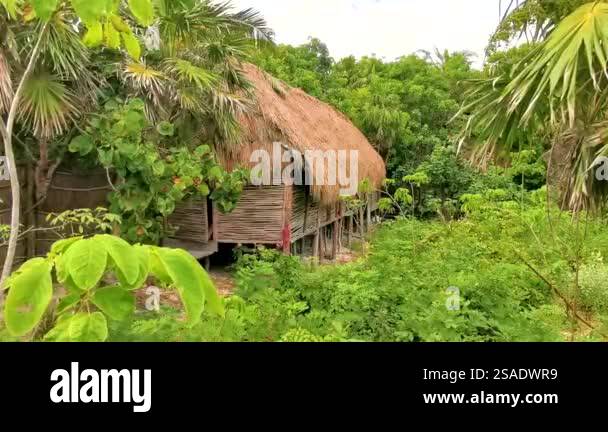 Wooden maya mayan huts in the green tropical jungle in Tulum Quintana ...