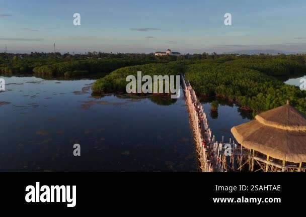A stunning aerial view of a wooden walkway winding through lush green ...