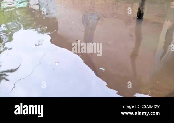 A pool of murky, rippling water, reflecting the view of the surrounding ...