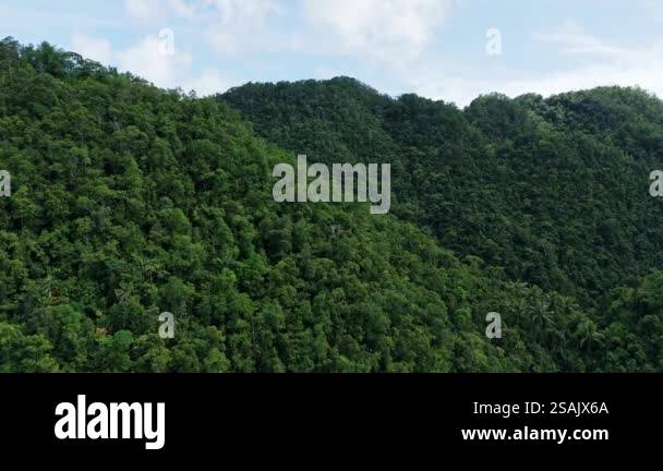 Smooth panning aerial footage over the jungle mountain landscapes of ...