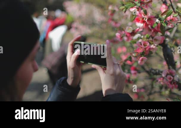 Tourist woman enjoys Japanese Sakura blossom in spring Tokyo park ...