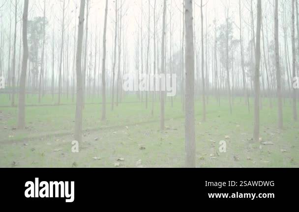 Saharanpur,Uttarpradesh India-December 26 2024-The role of popular ...