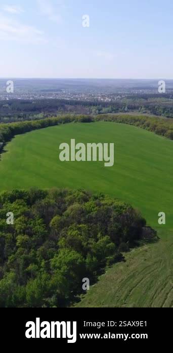 Aerial view of a green meadow encircled by a forest, set in a rural ...