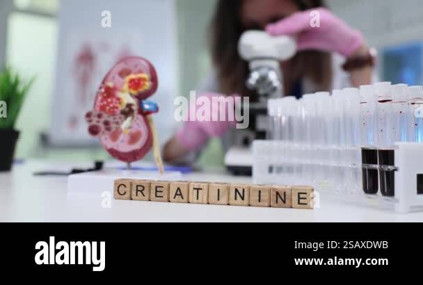 Our advanced laboratory is equipped with sophisticated kidney models ...