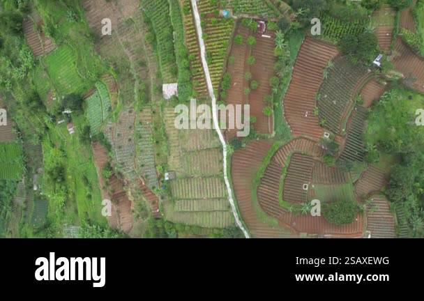 Aerial view agricultural fields traditional in the mountains with ...