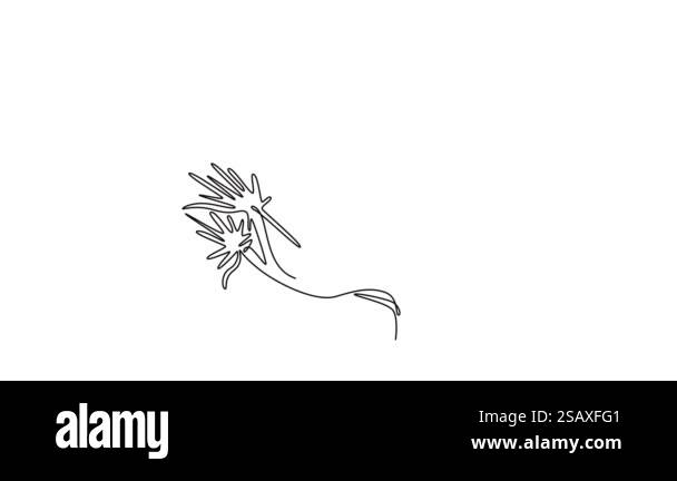 Self drawing animation of single line draw quiver tree forest ...