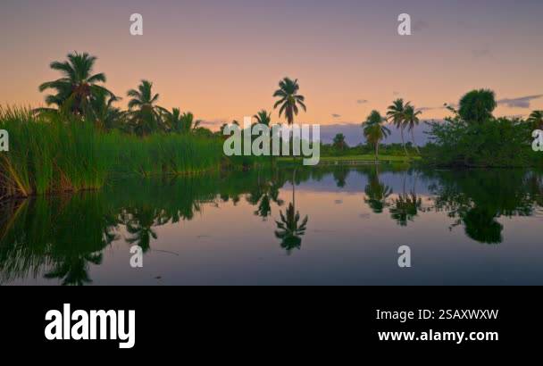 Landscape palm trees reflecting Stock Videos & Footage - HD and 4K ...