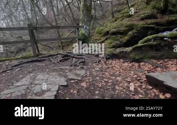 The Birks of Aberfeldy famous walk along Moness Burn where Robert Burns ...