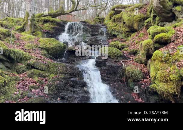 The Birks of Aberfeldy famous walk along Moness Burn where Robert Burns ...