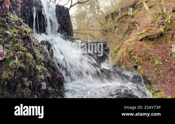 The Birks of Aberfeldy famous walk along Moness Burn where Robert Burns ...