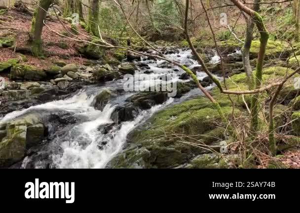 The Birks of Aberfeldy famous walk along Moness Burn where Robert Burns ...