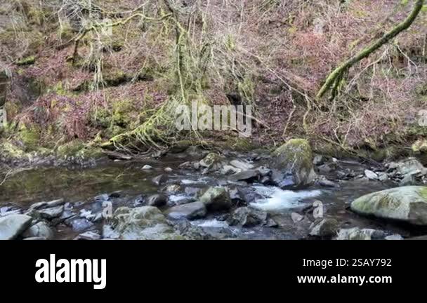 The Birks of Aberfeldy famous walk along Moness Burn where Robert Burns ...