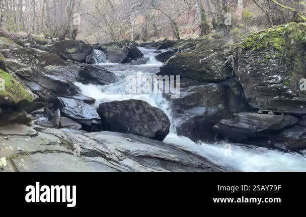 The Birks of Aberfeldy famous walk along Moness Burn where Robert Burns ...