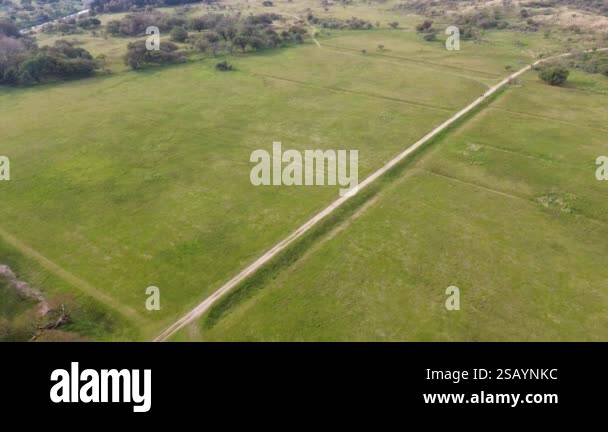 An aerial view of a vast green field with scattered trees, intersected ...