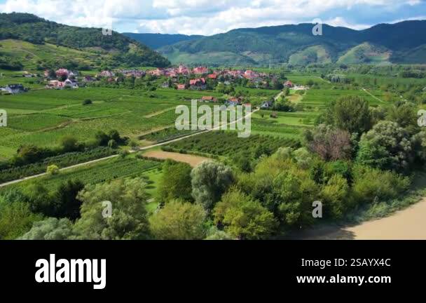 Vineyards and Donau river in Wachau valley Austria with autumn colored ...