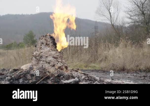 The swamp volcano in Starunia village in the Carpathians, Ukraine Stock ...