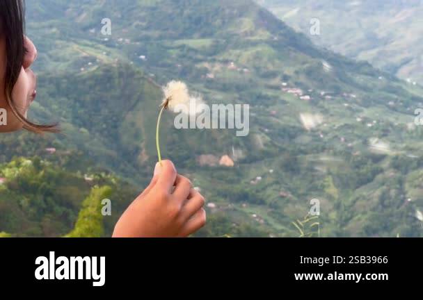 young Colombian brunette woman blowing dandelion in the mountains of Riosucio, a town in the ...