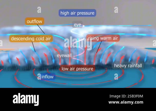 3D cross-section of a tropical cyclone, showcasing its eye, eyewall ...