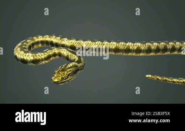 3D illustration of common European viper anatomy, highlighting body ...