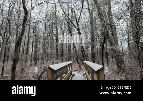 Swamp crossing Stock Videos & Footage - HD and 4K Video Clips - Alamy