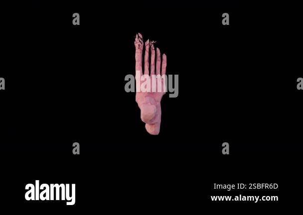 Low polygon human feet animation, origami human feet. Polyfolding ...