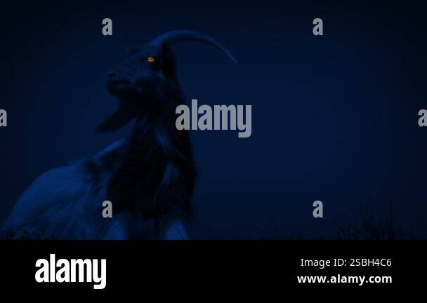 Scary goat Stock Videos & Footage - HD and 4K Video Clips - Alamy