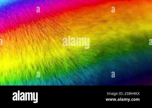 Colorful rainbow fur waves gently against a white background, creating ...