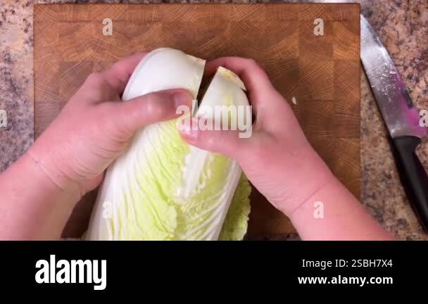 The napa cabbage is cut in half lengthwise with a knife and finely ...